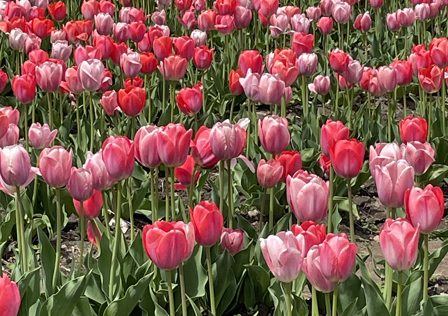 Itineraries » MetroWest Boston Visitors Bureau