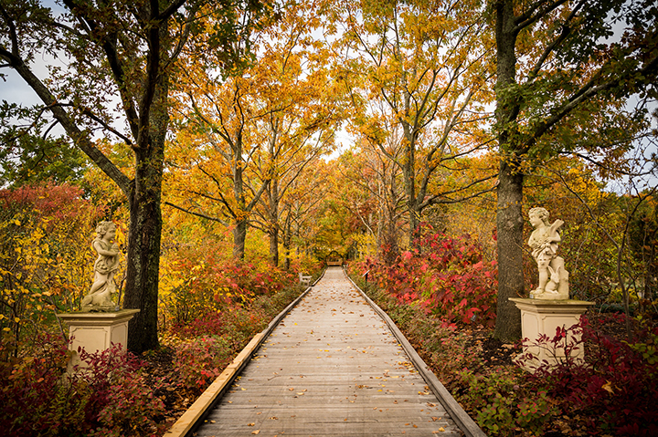 Discover Fall Wonder at New England Botanic Garden » MetroWest Boston ...